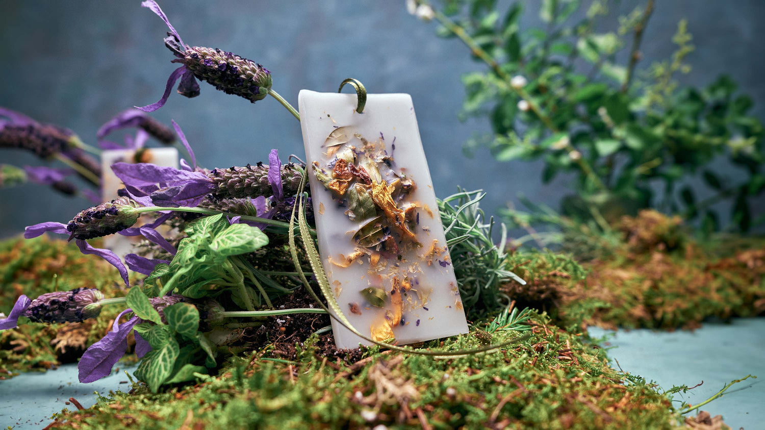 Pot Pourri: Scented Wax Tablets - Santa Maria Novella